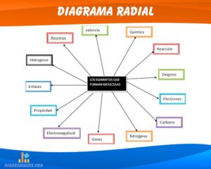 Aprende a hacer un diagrama radial con estos sencillos pasos