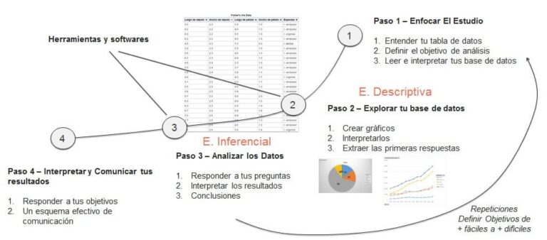 Cómo hacer estadísticas: una guía paso a paso