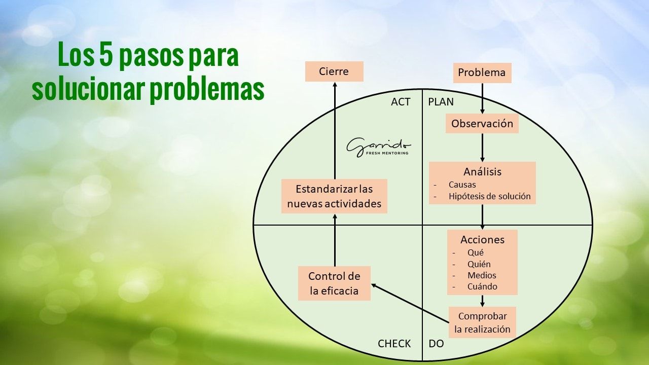 Cómo resolver problemas en una empresa: 5 pasos para mejorar tu gestión