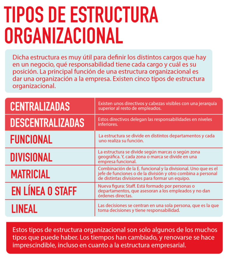 Estructuras organizacionales: clasificación y características principales