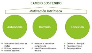 La teoría de la motivación intrínseca explica cómo y por qué las ...