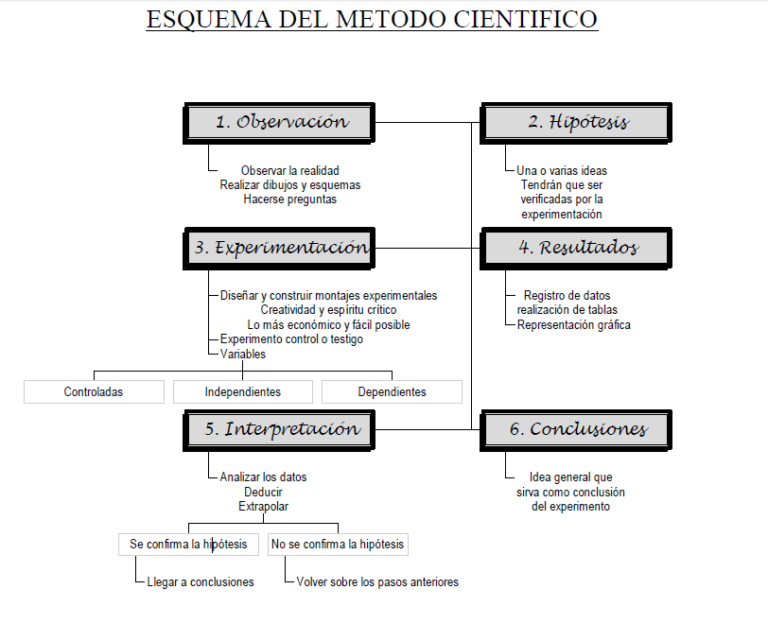 Los 4 pasos del método científico: investigación, hipótesis ...